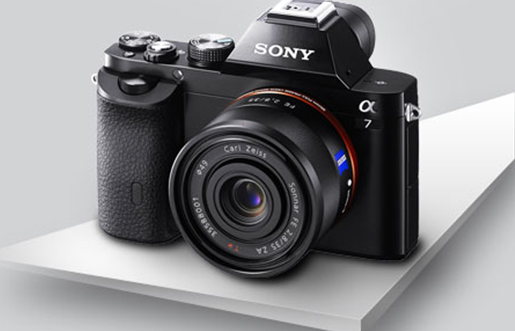 索尼a7【相关词_索尼200-600拍花鸟】 - 随意优惠券